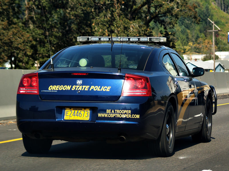 An Alternative To The Police Could Be Useful For Cities | PushBlack